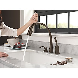Delta Faucet Pilar Kitchen Soap Dispenser for Kitchen Sinks, Venetian Bronze RP50781RB