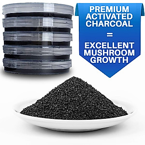 Potato Dextrose Agar Powder With Activated Charcoal 100 Grams - Evviva Sciences - Make Up To 105 Agar Petri Dishes - Excellent Growth Medium for Mushrooms & Science Projects
