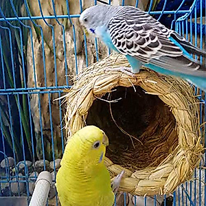 LIANG Straw Bird Nest, Grass Handwoven Bird House for Parakeet Cockatiel Canary Lovebird and Small Parrot, Hand-Woven Grass Hatching Bird Hut for Cold Weather, Natural Breeding Place for Birds