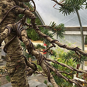 100gm Bonsai Wire [4.0mm]