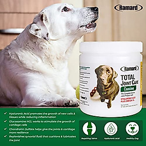 Ramard Total Joint Supplement for Dogs-MSM Glucosamine Chondroitin for Dogs & Hyaluronic Acid, Vitamins and Supplements for Small & Large Dog Breeds (45 Chews Jar, 1-Pack)