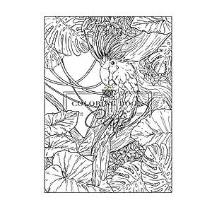 100 Wildlife Scenes: An Adult Coloring Book Featuring 100 Most Beautiful Wildlife Scenes with Animals, Birds and Flowers from Oceans, Jungles, Forests and Savannas