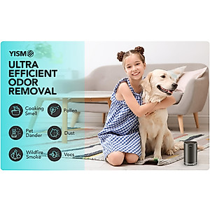 Clean Air Freshener and Odor Eliminator. Travel Size Electric Fragrance Diffuser Removes Pet, Smoke and Other Odors. Smart-Touch USB Charge. Home, Office or Travel. (Sandalwood, Black)