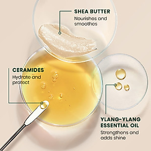 René Furterer Sublime Karité Moisturizing Smoothing Shampoo - Shea butter, Ylang-Ylang Essential Oil & Ceramides 6.7 fl oz.