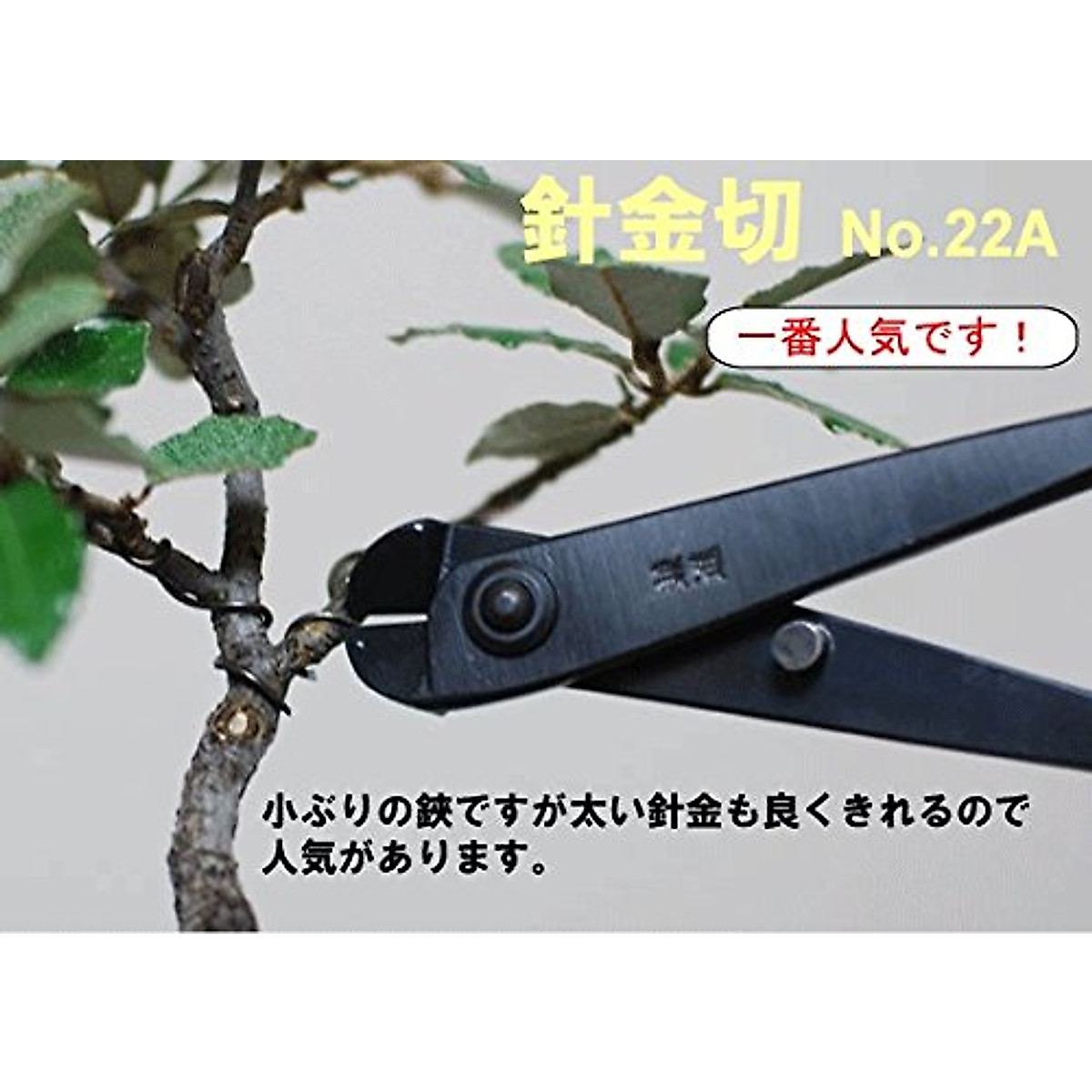 Wire Cutter Bonsai Tools Small 180mm for Professional