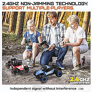 BEZGAR TB141 RC Cars-1:14 Scale Remote Control Car, 2WD High Speed 20 Km/h All Terrains Electric Toy Off Road RC Car Vehicle Truck Crawler with Two Rechargeable Batteries for Boys Kids and Adults