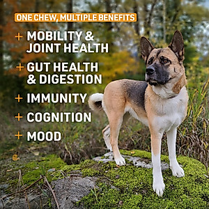 Veterinary Formula Smart Vitality Senior Support Supplement for Dogs - Soft Chews, 100ct - Support Healthy Joints, Skin, Gut, and Immunity with Glucosamine Chondroitin for Dogs