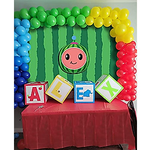Cute Cartoon Watermelon Backdrop Kids 1st 2nd 3rd Happy Birthday Watermelon Theme Party Photography Backdrops Newborn Baby Shower Decoration Background 6x4FT