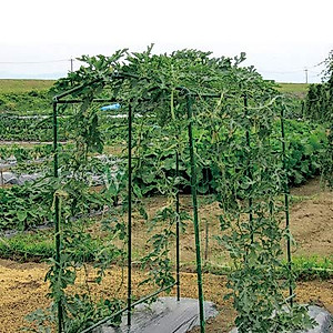 HHTHH Green Trellis Netting 5x60 ft Heavy Duty Garden Trellis Netting Polypropylene Plant Support Net for Climbing Vegetables Fruits Flowers