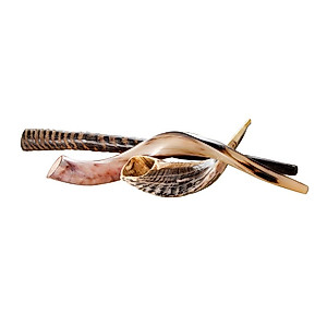 Shofar from Israel Set of 3 Horn : Kudu, Oryx, Ram + Bag + spray + Guide + Carrying case