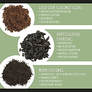 Monstera Houseplant Potting Soil Mix (2 Quarts), Custom Blend for Growing and Repotting