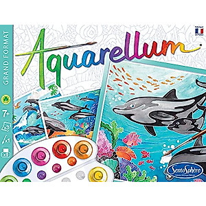 Sentosphère Aquarellum - Dolphins