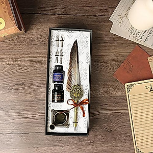 TIANREN Feather Pen and Ink Set,quill pen ink set,Antique Calligraphy Pen with 4 Replaceable Nibs,2 Bottle of ink,Pen Holder Christmas Gift for Men&Women.(Gray)
