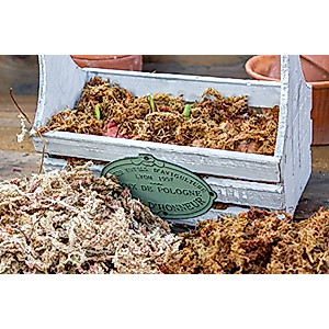 SuperMoss (22330) Orchid Sphagnum Moss Dried, Natural, 2.1lbs Small Bale