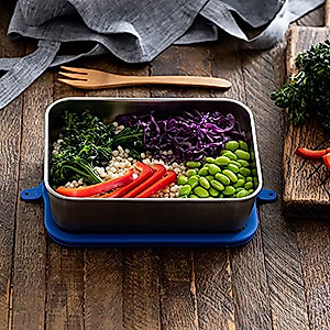 Klean Kanteen Meal Food Box 34oz Blueberry Bliss