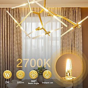 DiCUNO G4 LED Bulb Dimmable, 12V, JC Bi-Pin Base Light Bulbs 2W, Warm White 2700K, 20W T3 Halogen Replacement for Landscape Lighting, Under Cabinet Lighting, RV, Chandelier, 185 Lumen, 10-Pack