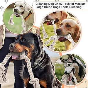 Glimin 4 Pcs Natural Cotton Rope Dog Toys White Tough Dog Rope Toy for Aggressive Chewers Interactive Knot Dog Toys for Large Dog Tug of War Dog Toy Heavy Duty Pet Supplies for Teeth Cleaning