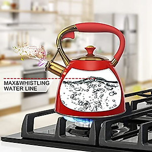 Tea Kettle -2.9 Quart Tea Kettles Stovetop Whistling Teapot Stainless Steel Tea Pots for Stove Top Whistle Tea Pot