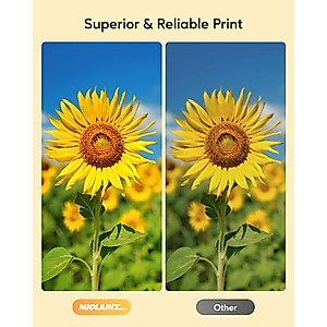 PGI-250XL CLI-251XL 5 Color Value Pack, Compatible for Canon 250 251 Ink Cartridges to use with PIXMA MX922, MG5420, MG5520, MG5522, MG6320, MG6620, IP7220 (PGBK, Black, Cyan, Magenta, Yellow)