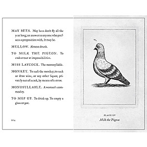 A Pocket Dictionary of the Vulgar Tongue: (Funny Book of Vintage British Swear Words, 18th Century English Curse Words and Slang)