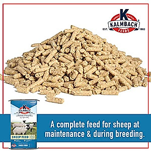 Kalmbach Feeds Medicated Ewe Builder Pelleted Feed for Sheep, 50 lb Bag