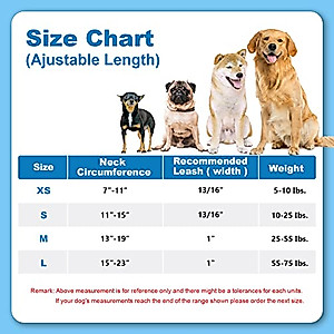 Brilliant Paw Reflective Dog Collar, Adjustable Nylon Collar, Strong Yet Comfortable, Safety Locking Buckle, Length Adjustable for Small Medium and Large Dog