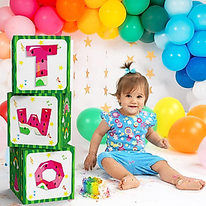 Cartoon Melon 2nd Birthday Balloon Boxes Party Supplies Decorations, 3pcs Watermelon One In A Melon Theme Party Gift Boxes Blocks Decor with TWO Cake Smash Backdrop