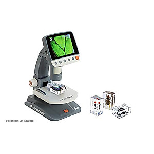 Celestron – Real 3D Bugs in Clear Resin – 4pc Set Includes Wasp, Ant, Chafer, and Beetle Specimens – Perfect for Science Eduction and Classroom – Use with Digital and Stereo Microscopes