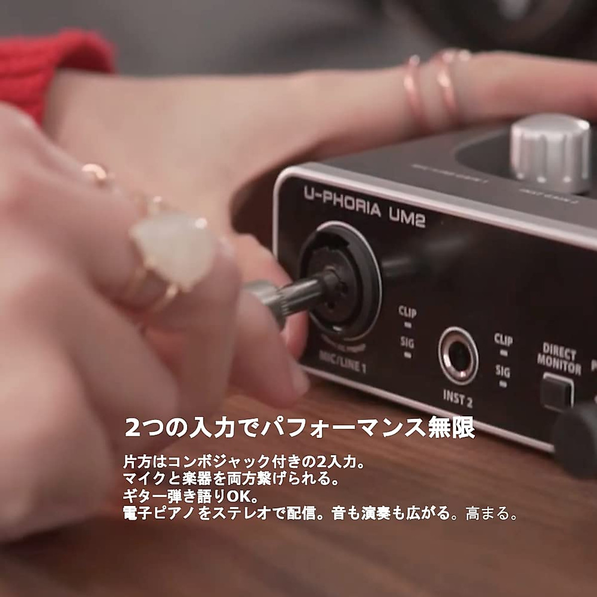 Behringer U-Phoria UM2 USB Audio Interface