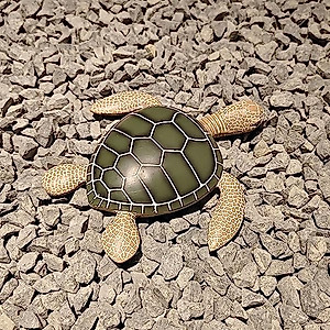 ALIWINER Sea Turtle Decor, Tabletop and Wall Turtle Decor, Turtle Crafts Sea Turtle Figurines for Home Office Decorations Home Gift Collection