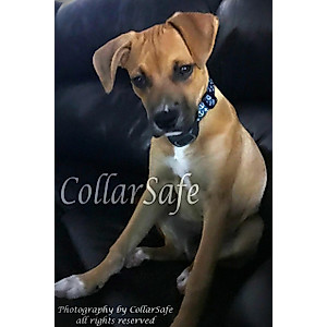 CollarSafe Designer Replacement Collar - Weaves (NO Holes) - FIT Petsafe Stay & Play Wireless Containment PIF00-12918 PIF00-12917 PIF00-13672 SportDog FieldTrainer YardTrainer - Read/View Photos