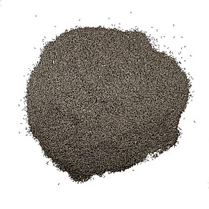 Seed Needs, Black-Eyed Susan Seeds - 120,000 Heirloom Seeds for Planting Rudbeckia hirta - Yellow Perennial Flowers to Attract Butterflies & Bees to The Garden (Large Bulk Pack)