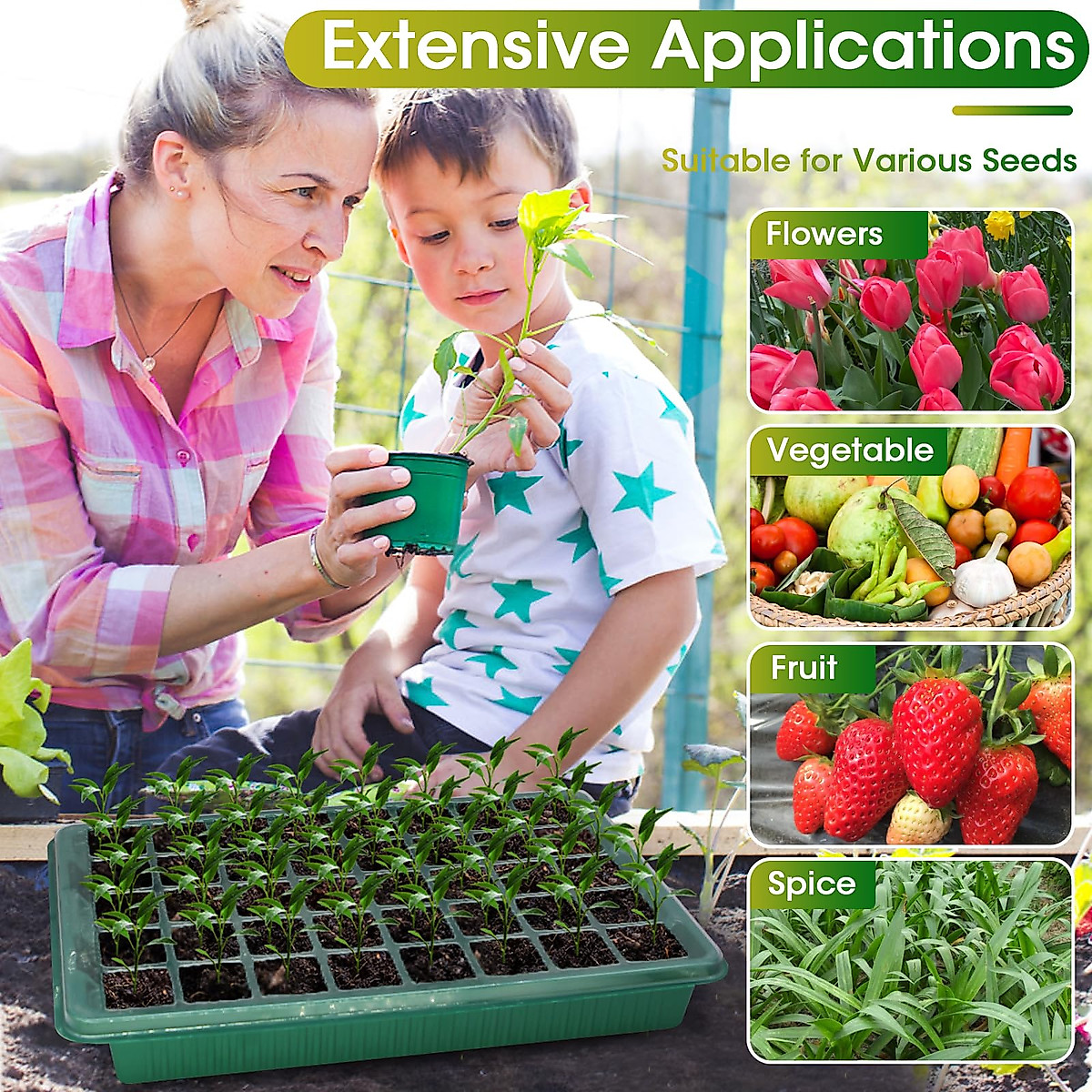 MQUPIN Seed Starter Tray with Grow Light 4 LED, 2 Pack/80 Cells Adjustable Brightness Seed Starter Kit,Seedling Starter Kit with Dome and Base for Greenhouse Seeds Growing Starting(Green)