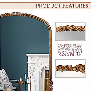 Wylde Iris 28.4x35 Inch English Estate Carved Arch Wood Wall Mirror, Antique Gold, Mirror for Entryway, Living Room, Bathroom