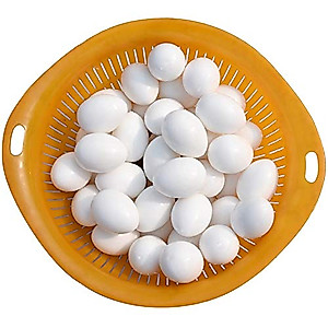 Huwaimi 13g Solid Plastic Eggs Dummy Eggs for Racing Pigeons (White 10pcs)