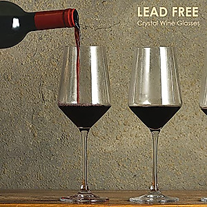 S SALIENT Wine Glasses Set of 6,Long Stem White/Red Wine glasses,14oz Hand Blown Premium Crystal Wine Glass,Gift Packing Burgundy Glasses