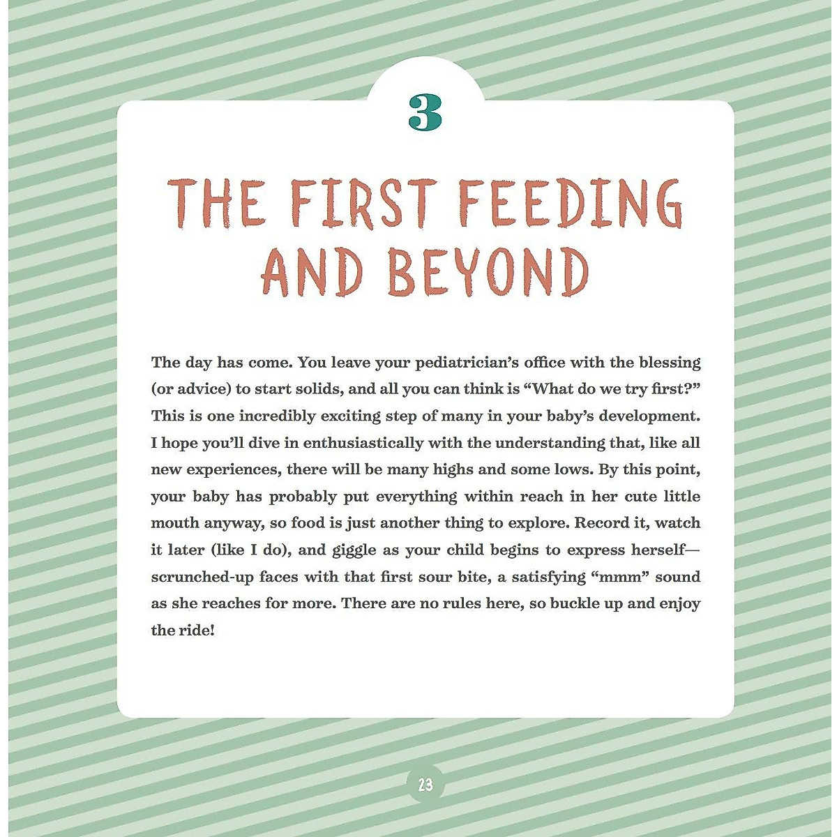 The Big Book of Organic Baby Food: Baby Purées, Finger Foods, and Toddler Meals For Every Stage