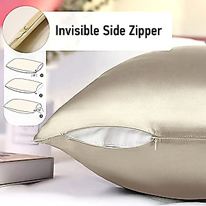 Silk Pillowcase 2 Pack for Hair and Skin,22 Momme 100% Mulberry Silk & Natural Wood Pulp Fiber Grade 6A Dual-Sided Silk Pillow Cases with Hidden Zipper,600 Thread Count(Champagne,Standard 20"x26")