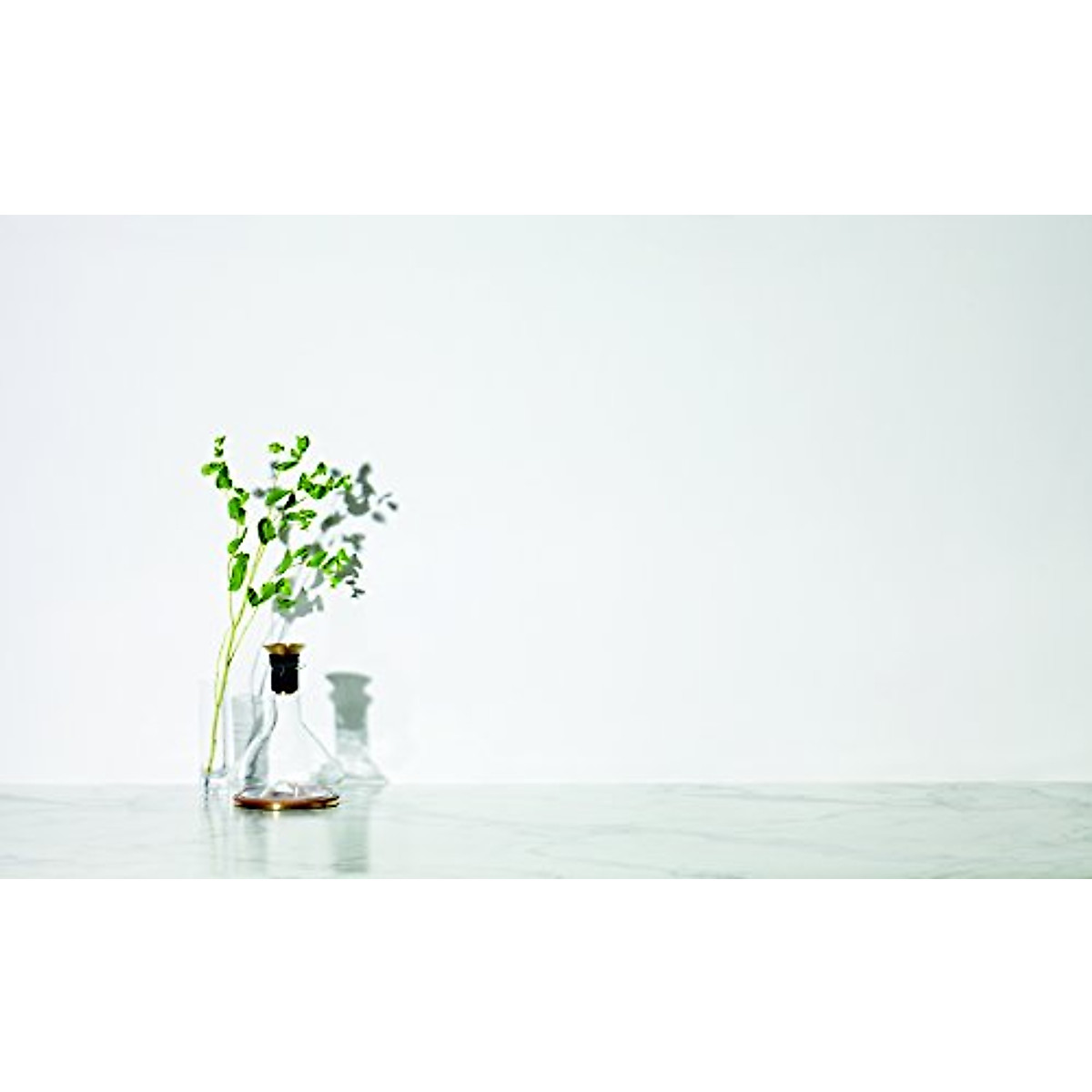 RBT Decanter with Wood Coaster and Micro-Perforated Aerator,Clear