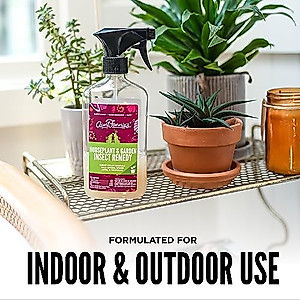 Aunt Fannie’s Houseplant & Garden Insect Remedy, Indoor and Outdoor Plant Insect Killer (3-Pack)