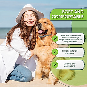 TriOak Flea Collar for Dogs: Advanced Dog Flea Collar - Tick Collar for Dogs - Flea and Tick Collar for Dogs - Dog Flea and Tick Collar - Dog Tick Collar, Color: Gray, 4 Pack