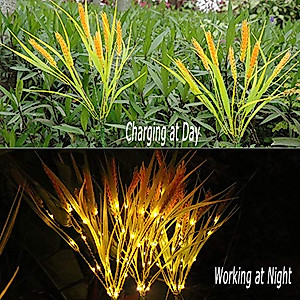 HOMEGIFT Solar Decorative Lights Outdoor, 2-Pack Solar Powered Waterproof Garden Pathway Lights for Patio, Lawn, Garden, Yard Decoration