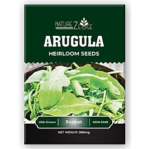 Arugula Seeds for Planting, 350 Arugula Rocket Seeds, Eat Arugula Fresh from Your Own Garden, High Germination, Heirloom Vegetable Varieties, Non-GMO