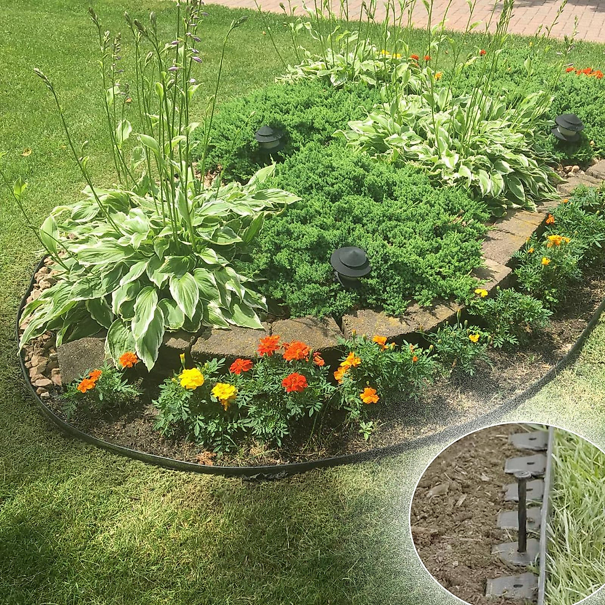 DasTior 60 Pcs Landscape Edging Spkies,8 Inche Garden Stakes for Landscape Edging,Pever Edging,Terrace Board