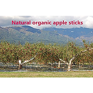 sharllen 100g (3.5oz) Apple Sticks Pet Snacks Chew Toys for Guinea Pigs Chinchilla Squirrel Rabbits Hamster