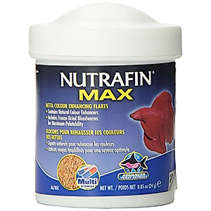 Nutrafin Max Betta Color Flakes, 0.85-Ounce