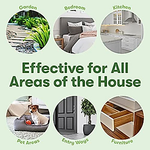 BugMD Pest Control Essential Oil Concentrate 3.7 oz (2-Pack), Plant-Powered Bug Spray Quick Kills Flies, Ants, Fleas, Ticks, Roaches, Mosquitoes