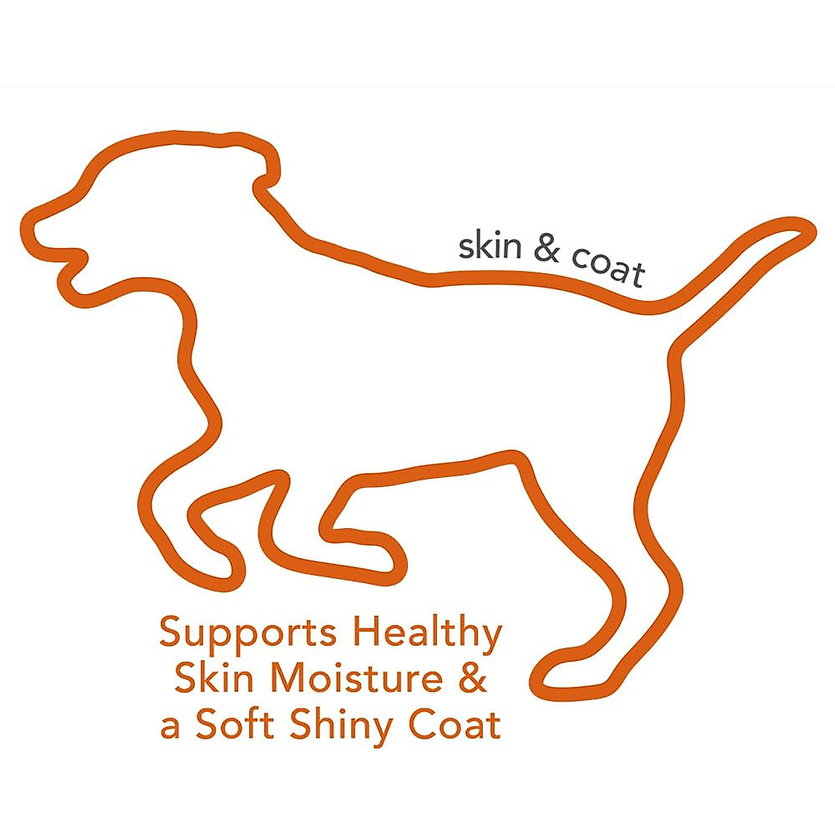 Vet's Best Skin & Coat Soft Chew Dog Supplements | Formulated with Vitamin E and Biotin to Maintain Dogs Healthy Skin and Coat | 30 Day Supply