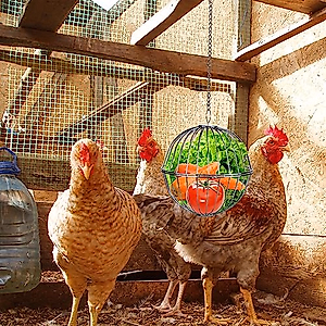 Chicken Treat Ball Chicken Vegetable Feeder Veggie Hanging Ball Toy for Hens Chicken Hanging Foraging Coop Toys for Hens