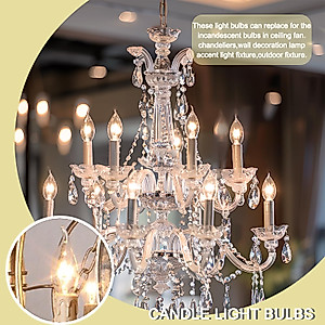 Potanro E12 Incandescent Light Bulbs 40Watt Warm White 2700K, 300 Lumens Candelabra Light Bulbs Decorative Dimmable Chandelier Light Bulbs for Ceiling Fan, Pendants (40W-12Pack)